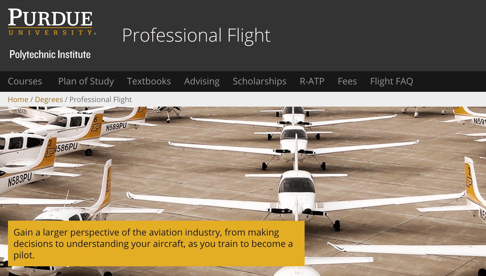 I want to become a pilot. Which college should I attend?